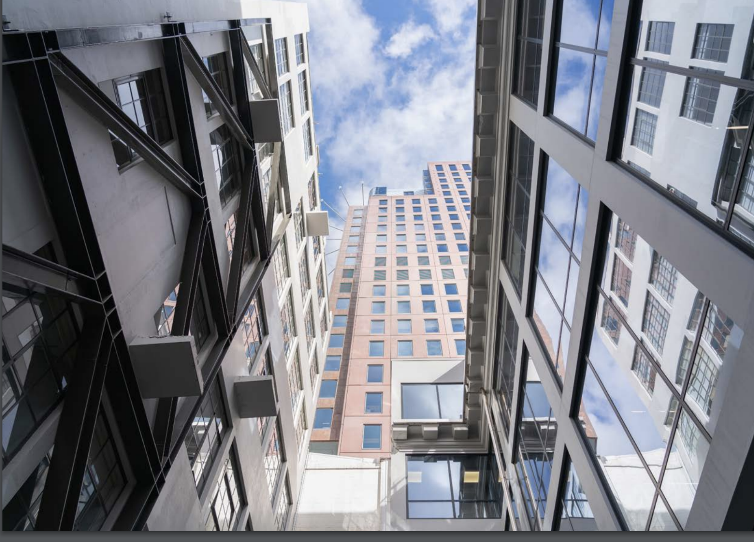 Pacifecon NZ Limited - Building Intelligence - New Zealand’s unrivalled ...